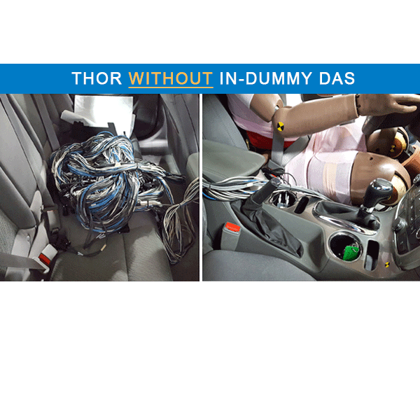 THOR IN-DUMMY DAS | Diversified Technical Systems