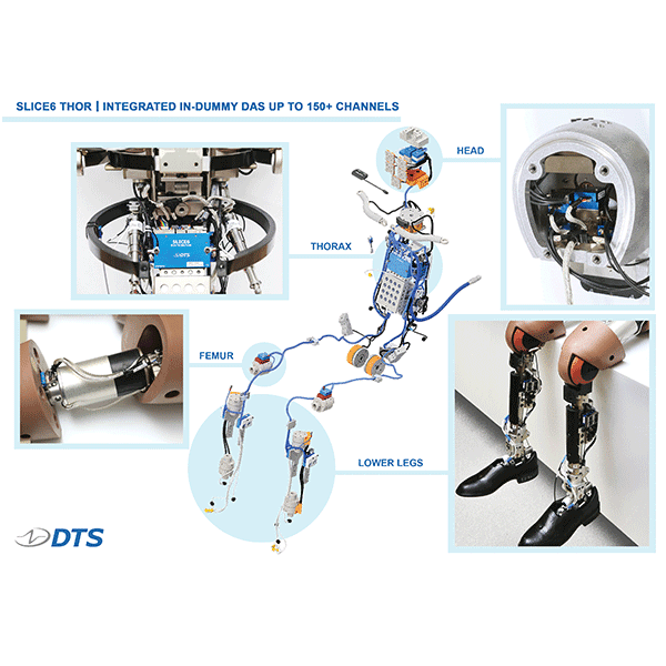 THOR IN-DUMMY DAS | Diversified Technical Systems